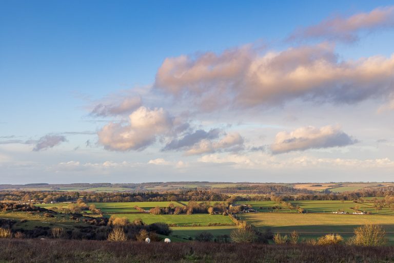 Cranborne Chase from Sutton Down - Tony Bridge Photography